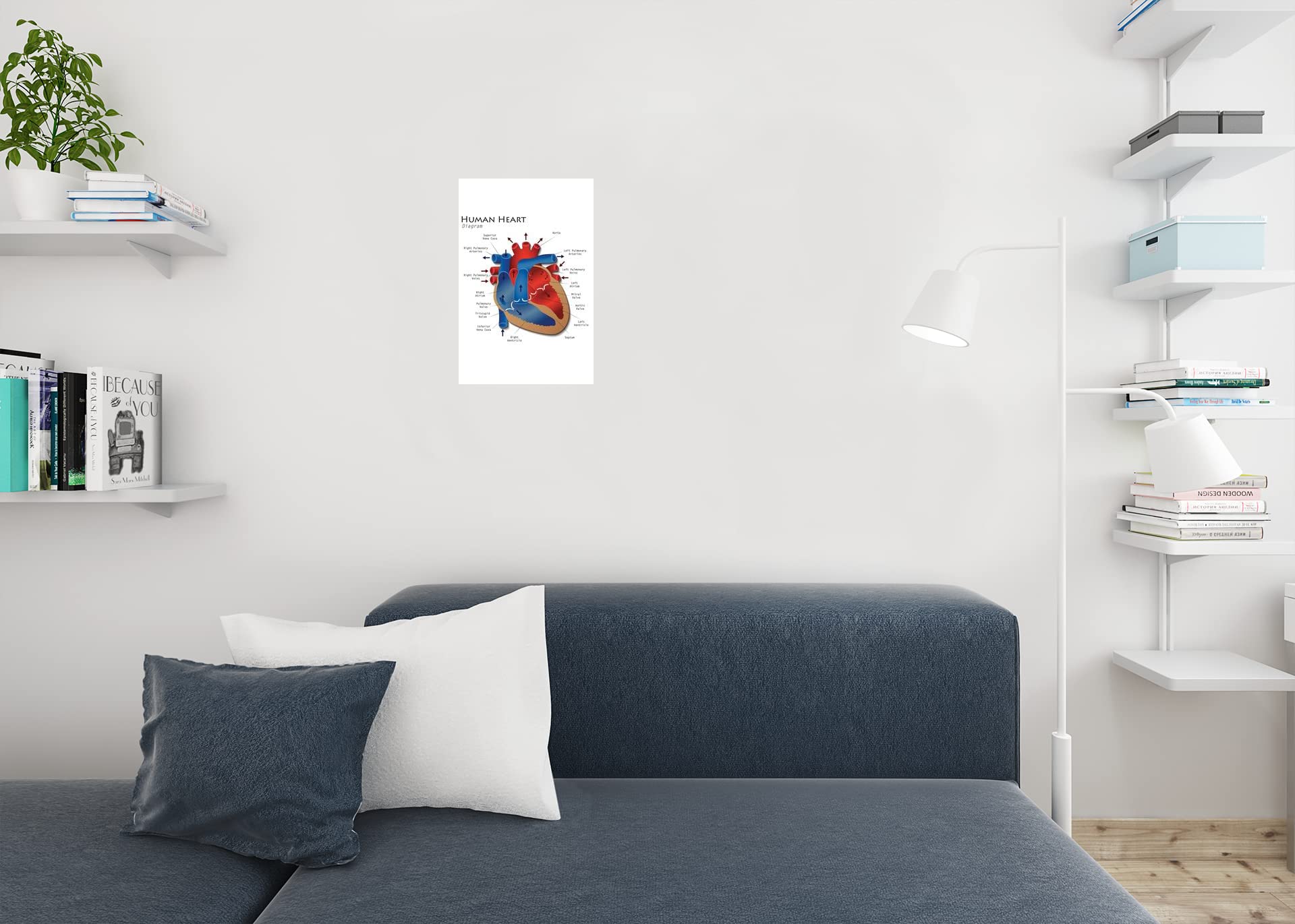 Human Heart Diagram Anatomy Diagram Educational Chart Cool Wall Art Print Poster 12x18