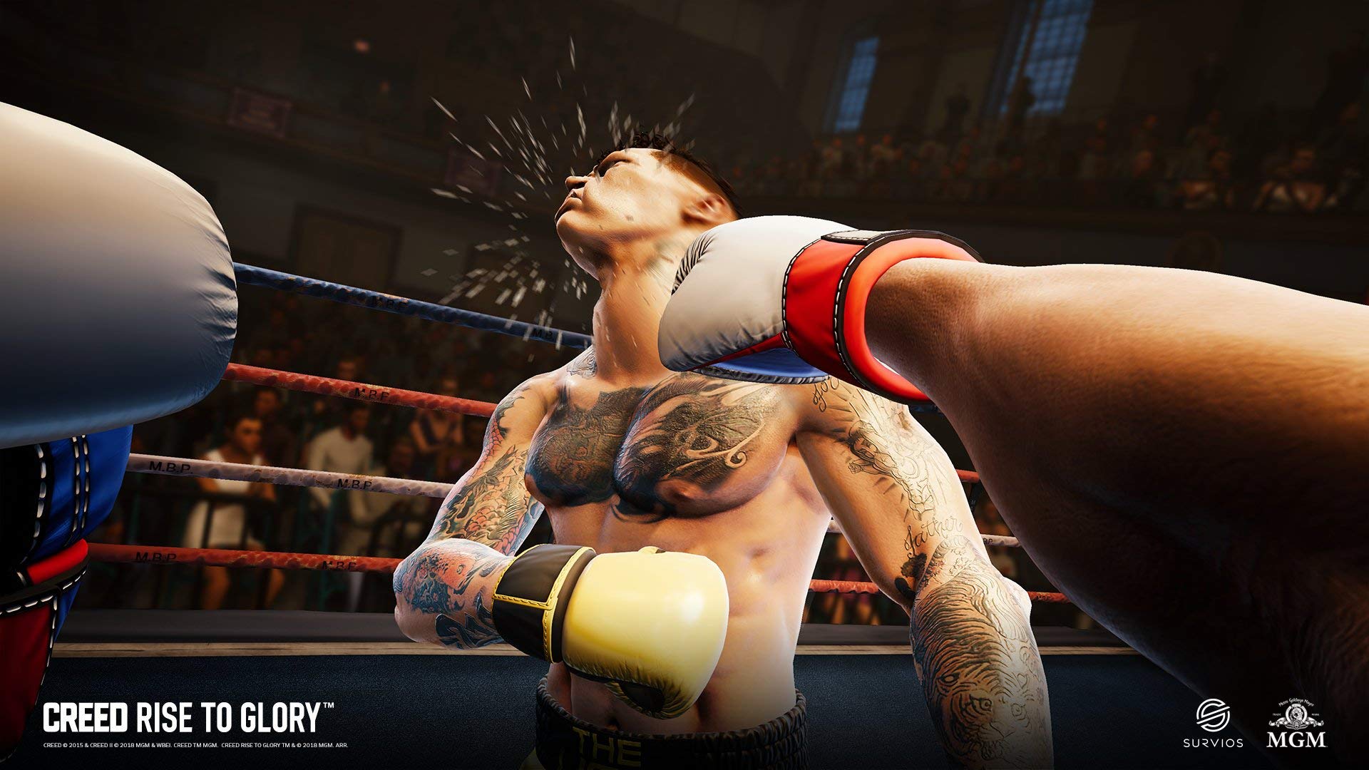 Creed: Rise to Glory PSVR (PS4) UK IMPORT