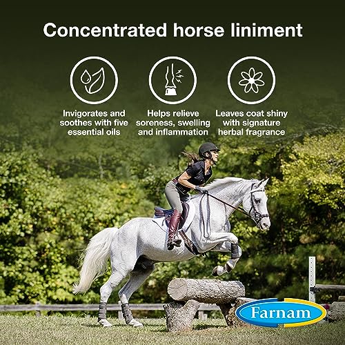 Farnam Vetrolin Horse Liniment for Muscle Soreness, Stiffness and Inflammation Relief on Horses, Helps Reduce Swelling, Aids in Pain Relief, 32 Oz.