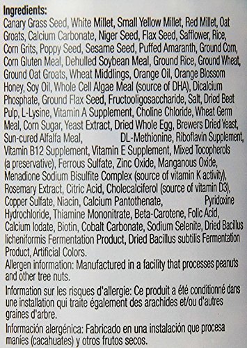 Kaytee Forti Diet Pro Health Orange Blossom Honey Bird Treats for Parakeets, 10-Ounce - 2 Pack