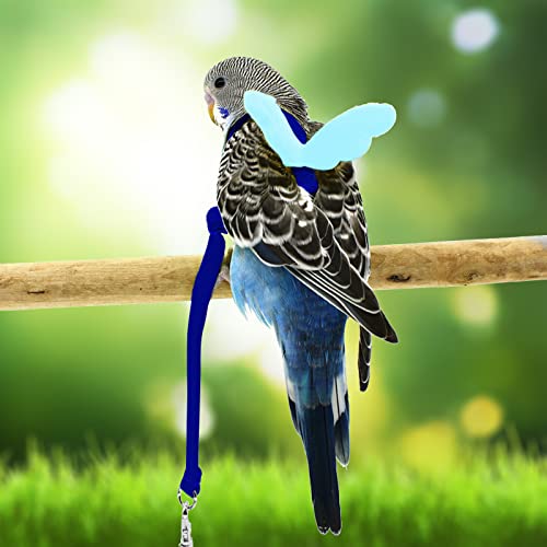 Budgerigar Harness and Leash, Adjustable Parrot Bird Training Design Anti-Bite, Bird Nylon Rope with Cute Wing for Budgerigar and Same Size Birds (S, Blue)