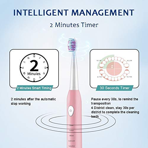RED-NI RED-NI Sonic Electric Toothbrush, 4 Free Replacement Heads Included as Gifts Ideal for Adult Children and Couples Use USB Fast Charging Waterproof Toothbrush,Model: ET201 (Blue)