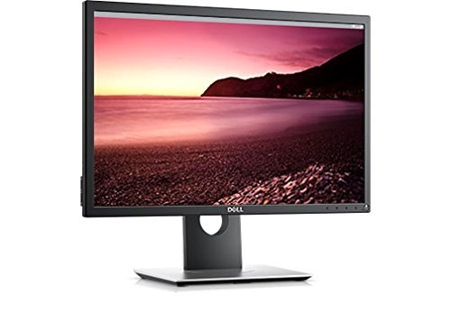 DELL P2217 22-inch PROFESSIONAL WIDE SCREEN 1680X1050 LED LCD DISPLAY MONITOR 0FDPN (Renewed)