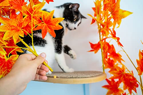 On2Pets Cat Shelves Wall-Mounted Cat Trees Cat Furniture for Climbing, Playing and Relaxing, Set of 2, Indoor Cat Shelf Made in USA… (Orange Blaze, Rectangle)