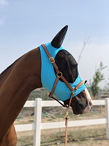 TGW RIDING Horse Fly Mask Super Comfort Horse Fly Mask Elasticity Fly Mask with Ears We Only Make Products That Horses Like (Pacific Blue, L)