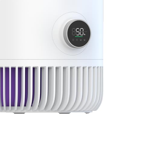 AIRAPEX 2 in 1 Air Purifier and Evaporative Humidifier Combo for Bedroom, H13 True HEPA Filter, Cool Mist-Free Air Humidifier T3-Silver Button