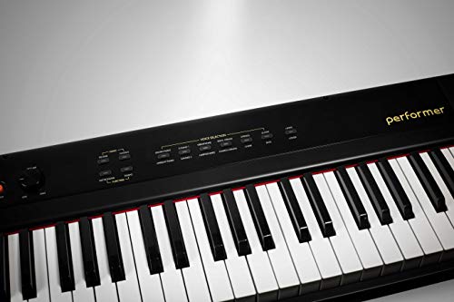 88-Key Portable Digital Piano/Keyboard for Beginners with Full Size Soft Touch Keys, Power Supply, Sustain & 2 Months.
