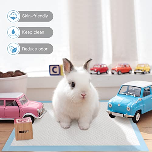 Disposable Puppy Training Pads 100 Count Pee Pads for Dogs, Cats, Rabbits and Guinea Pigs Waterproof Super Absorbent Odour Locking 13β x 18β