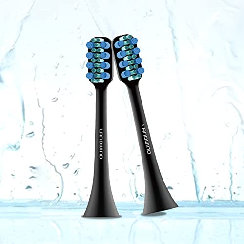 LANDWIND replacement toothbrush heads, fit Sensitive Gums and Teeth, Dupont Nylon Harmless for LANDWIND Sonic Electric Toothbrush, 2 Pro+2 Comfy Electric Toothbrush Heads -4 Pack (Black)