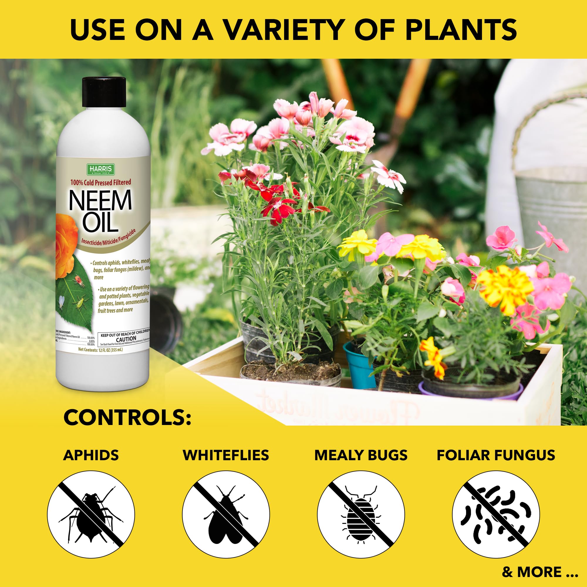 HARRIS Neem Oil, 100% Cold Pressed and Unrefined Concentrate for Plant Spray, High Azadirachtin Content, 12 Ounce for Aphids, Whiteflies, Mealy Bugs and More