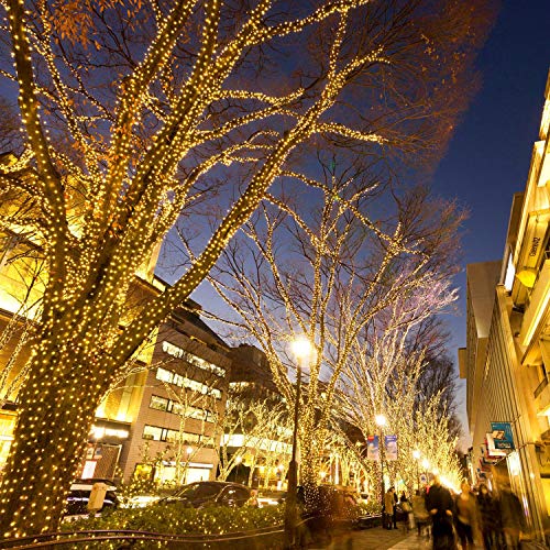 ALED LIGHT Solar String Lights Outdoor, 2 Pack 30M/98.2ft 300 LED Copper Wire Light Waterproof Luminous LED String Lighting Chain 8 Modes Warm White Starry Fairy Lights for Garden Home Decoration