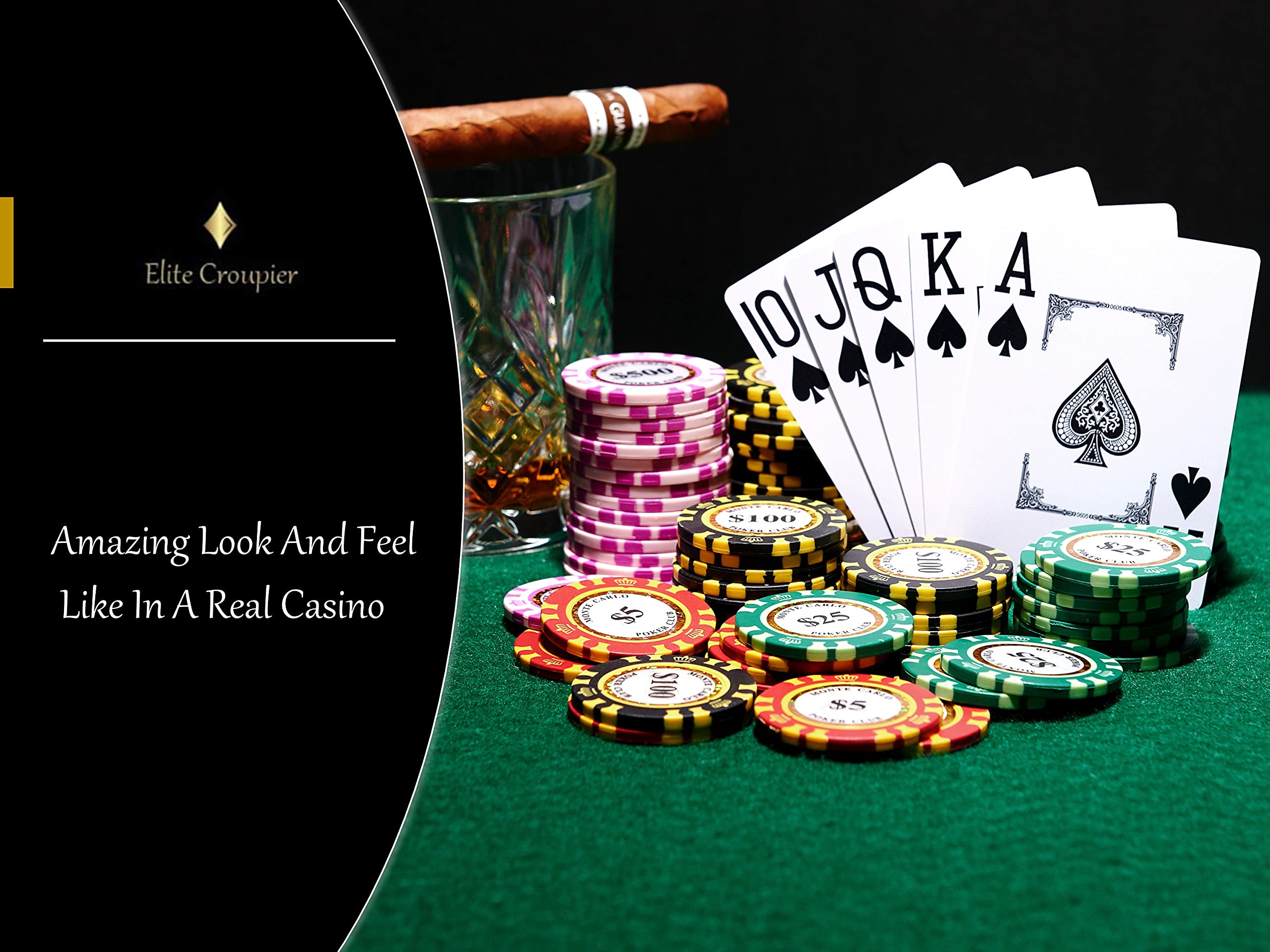 Deluxe 300 Poker Chips Set - Poker Set 300 Chips, Shock Resistant Case, 2 Tones Monte Carlo Poker Chips (14g Clay Poker Chips with Denominations, Casino Chips) 100% PVC Cards, Cut Cards, Blackjack Set