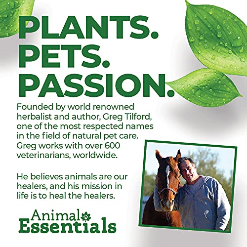Animal Essentials Herbal Ear Rinse for Dogs & Cats - Ear Cleaner, Cleaning Solution, Ear Wash, Ear Cleanser, Ear Drops, Aloe Vera - 4 Fl Oz