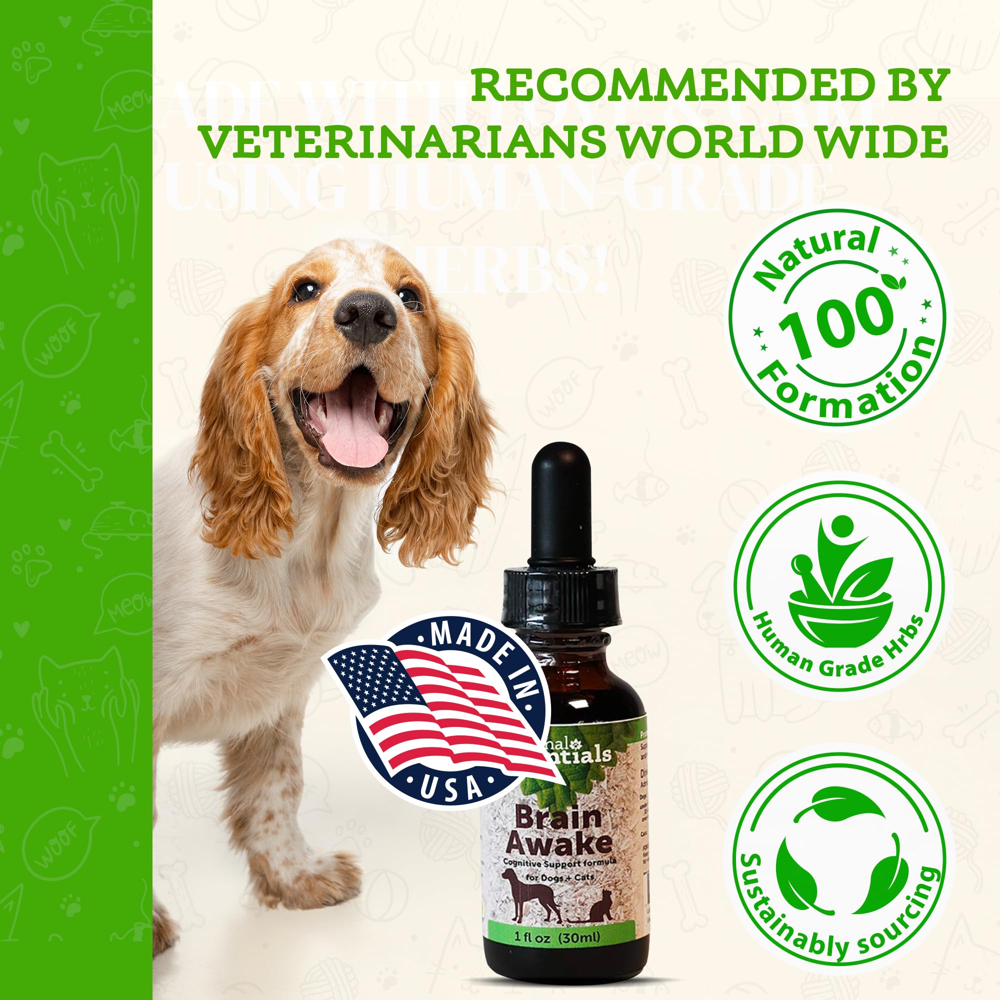 Animal Essentials Brain Awake for Dogs & Cats - Cognitive Support Supplement, Senior Support, Lion's Mane, Brain Health, Herbal Formula - 1 Fl Oz