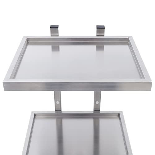 DNYSYSJ Beauty Salon Stand Rolling Cart, 2 Tier Spa Beauty Machine Holder Trolley, Salon Storage Trolley Stand, for Salons Studios Shops Medical Shops and Dentists