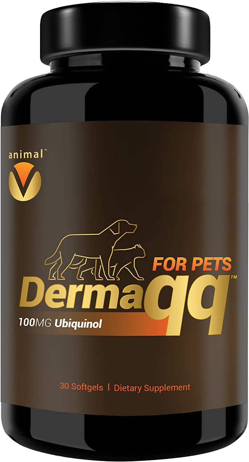 animal V, Inc Dermaqq Dog & Cat Hot Spots, Hair Loss, Dermatitis Support