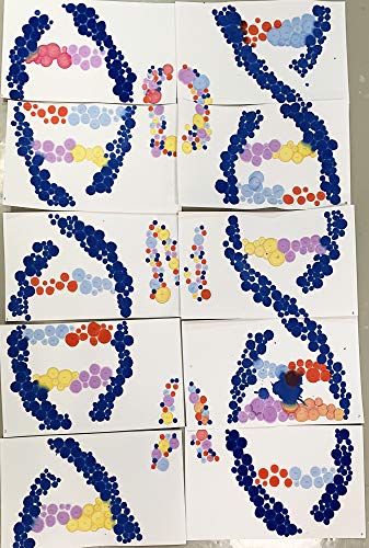 Edvotek S-45 Pipetting by Numbers: STEAM Pipetting Practice, for 10 Lab Groups