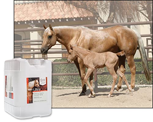 UltraCruz Equine Detangler Spray for Horses, 5 Gallon Refill