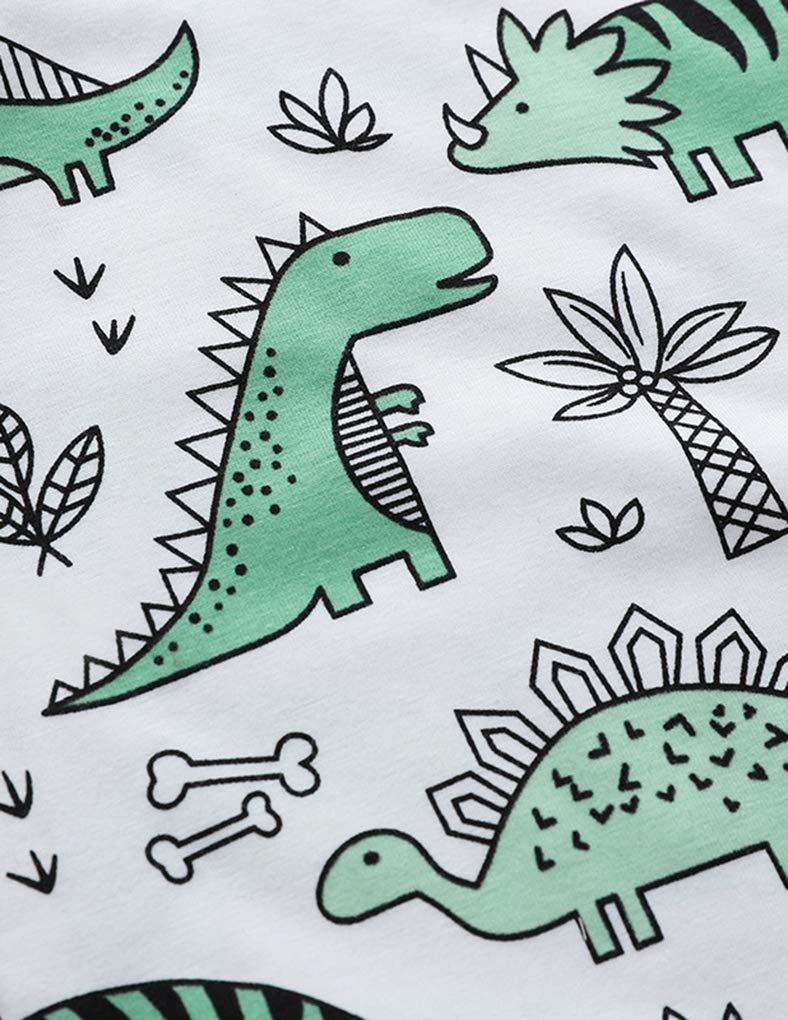 Unisex Baby Wearable Blanket with Hat Cap Cotton Sleeping Bag 2 Pcs Long Sleeve Nightgowns (Dinosaur, 0-6M)