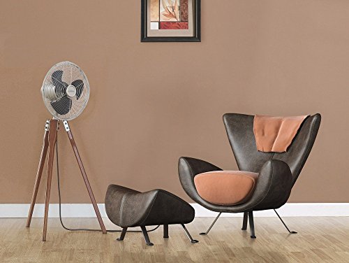 Fanimation Arden Pedestal Indoor Fan - Oil-Rubbed Bronze