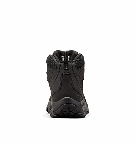 Columbia mens Newton Ridge Plus Ii Waterproof Hiking Boot, Black/Black, 9.5 US