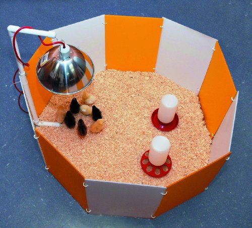 Farm Innovators Model 3700 Baby Chick Starter Home Kit