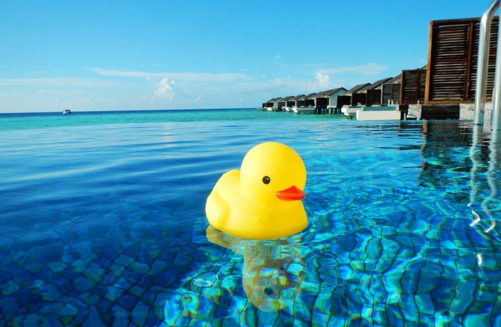 Codall Mini Yellow Rubber Bath Ducks for Child(2.1", 20pcs)