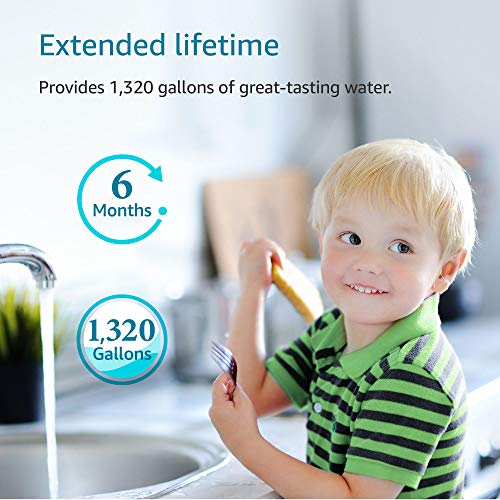 AQUACREST FQK2J Under Sink Water Filter, Replacement for GE FQK2J, FQK1K, 1320 Gallons Dual Flow Drinking Water Replacement Filters (2 Count)