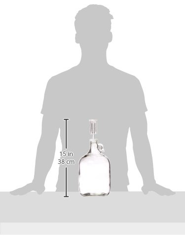 FastRack Glass Wine Fermenter Includes Airlock, 1 gallon Capacity, clear (B00BEYREIW), 1 Count (Pack of 1)