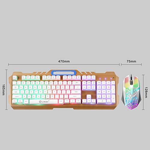 areclern Gaming Keyboard and Mouse Combo 104 Keys Wired Mechanical Keyboard RGB LED Backlit Keyboard Gaming Mouse for Home, Office Black