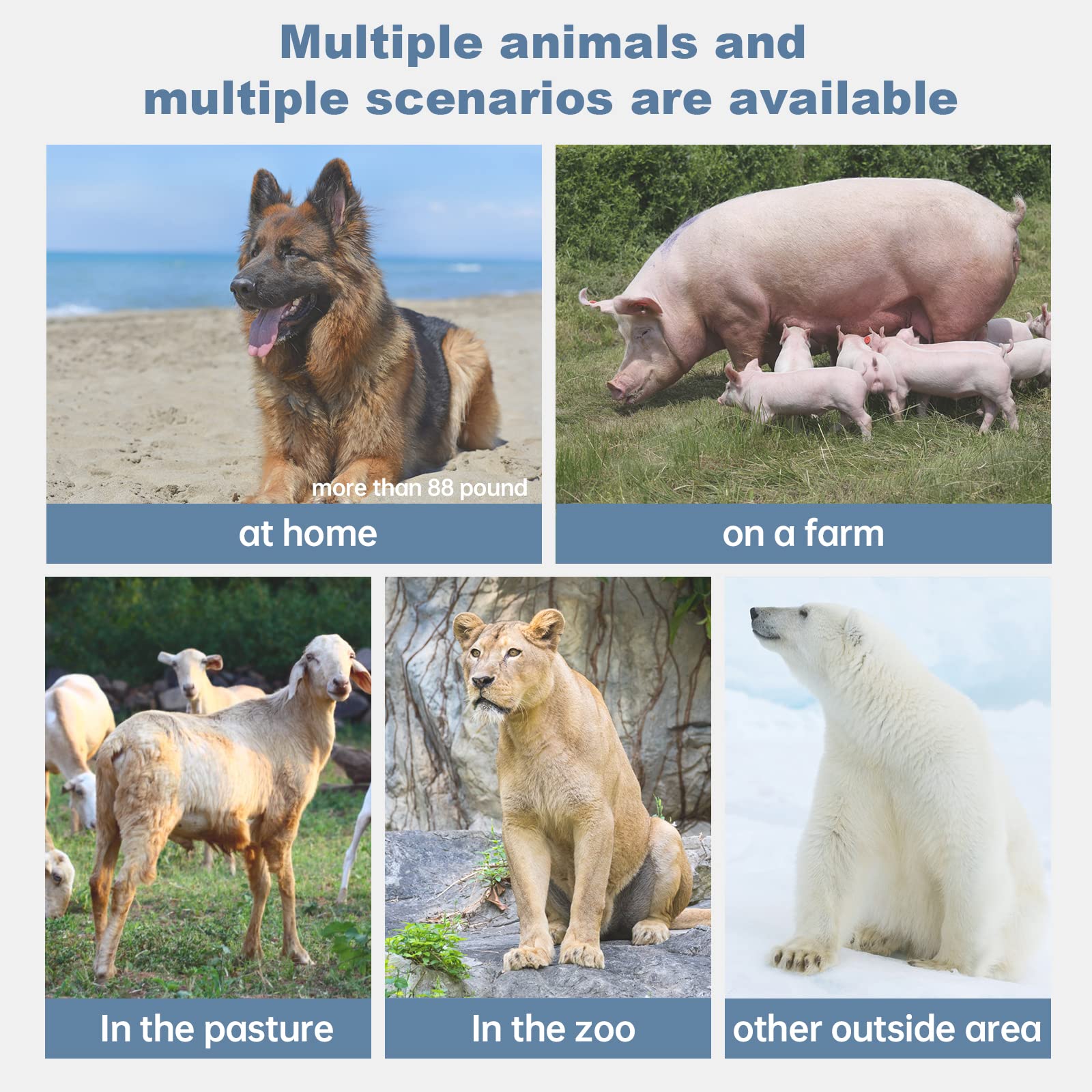 Aopuoe Portable Ultrasound Scanner for Veterinary, with 3.5Mhz Convex Probe, for Pig/Dog/Sheep/Tiger/Bear/and Other Medium-Sized Animals Use