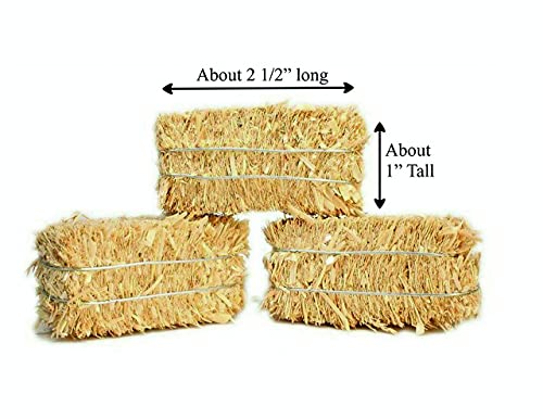 Meyer Imports Mini Hay Bales - Small - (Pack of 3) Small Decorative Hay β for Craft/Dollhouse/Farm/Halloween/Table Decoration - 2.5 x 1 Inches Each