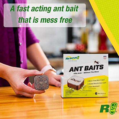 RESCUE! Ant Baits β Indoor Ant Killer, Ant Trap Alternative - 6 Bait Stations
