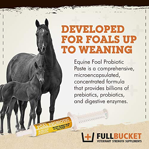 FullBucket Foal Probiotic Paste (Single)