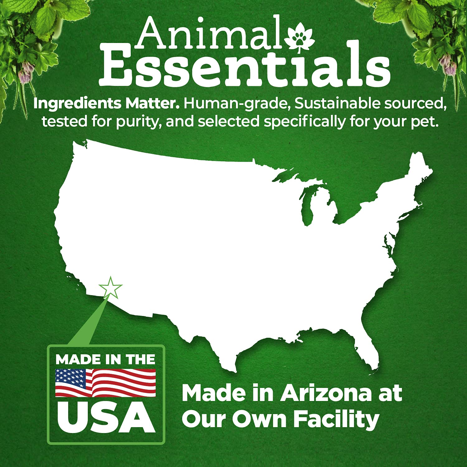 Animal Essentials Milk Thistle Liver Support for Dogs and Cats, 30 Capsules - Made in USA Liver Supplement