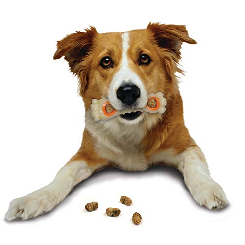 Nylabone Pop-In Dog Treat Refills for Treat Toy Combo Chicken Medium/Wolf (30 Count)