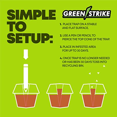 GREENSTRIKE 2-PACK Premium Fruit Fly Traps For Indoors | 2 Pre-Filled Lures Effectively Trap Flies Indoors | Easy Effective and Safe to Use | Food-Based Lure/Bait Catcher | Red