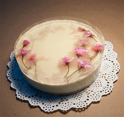 DECORA 180 Pieces White Round Paper Lace Doilies for Birthday Party and Wedding Tablewear Decoration 3.5inch,4.5inch,5.5inch