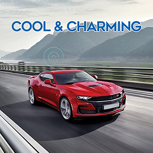 Eightwood Universal Vehicle Antenna Replacement 16 inch, AM FM Roof Mount Car Radio Antenna Mast, Flexible Rubber Antennae with M4 M5 M6 Threaded Adapter