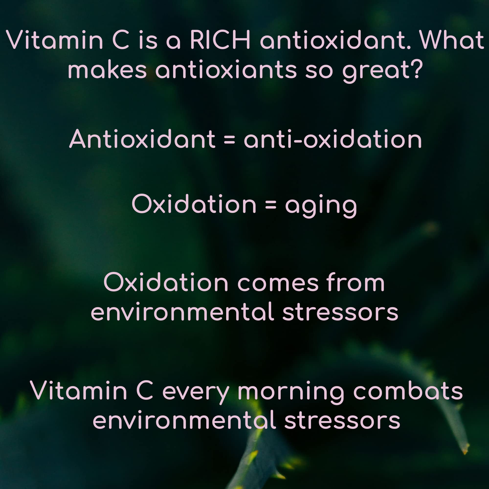 Bauer Beauty Vitamin C Face Serum Improves Skin Brightness, Fine Lines, Anti-Aging Skin Repair, Brighten Dark Spots And Reduce wrinkles