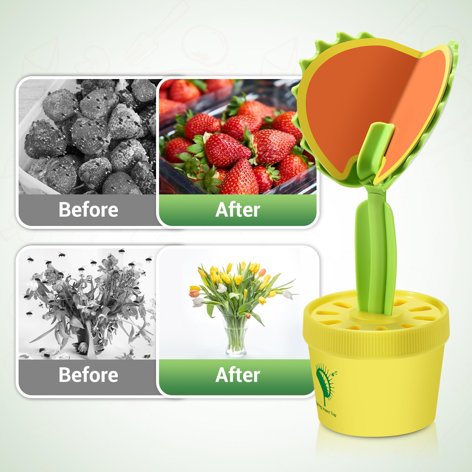 Fruit Fly Trap for Indoor, Gnat Trap for House Indoors with 10Pcs Sticky Pads & Attractant, Fly Trap for Home Kitchen Plant 2 Pack