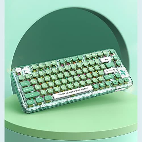 Acogedor Mechanical Keyboard RGB Backlit 80 Keys, BT 2.4ghz Wireless Type C Trimode Gaming Keyboard with Hot Swappable for Win, OS X Laptop, iOS, Android (Green)