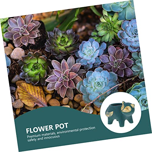 Angoily 1pc Plants Cactus Porcelain Square Planters Balcony Green Drainage Holder Indoor Succulents Decor Gifts Tabletop Flowerpot Bonsai Statue Unique Hole Art Elephant Table Container