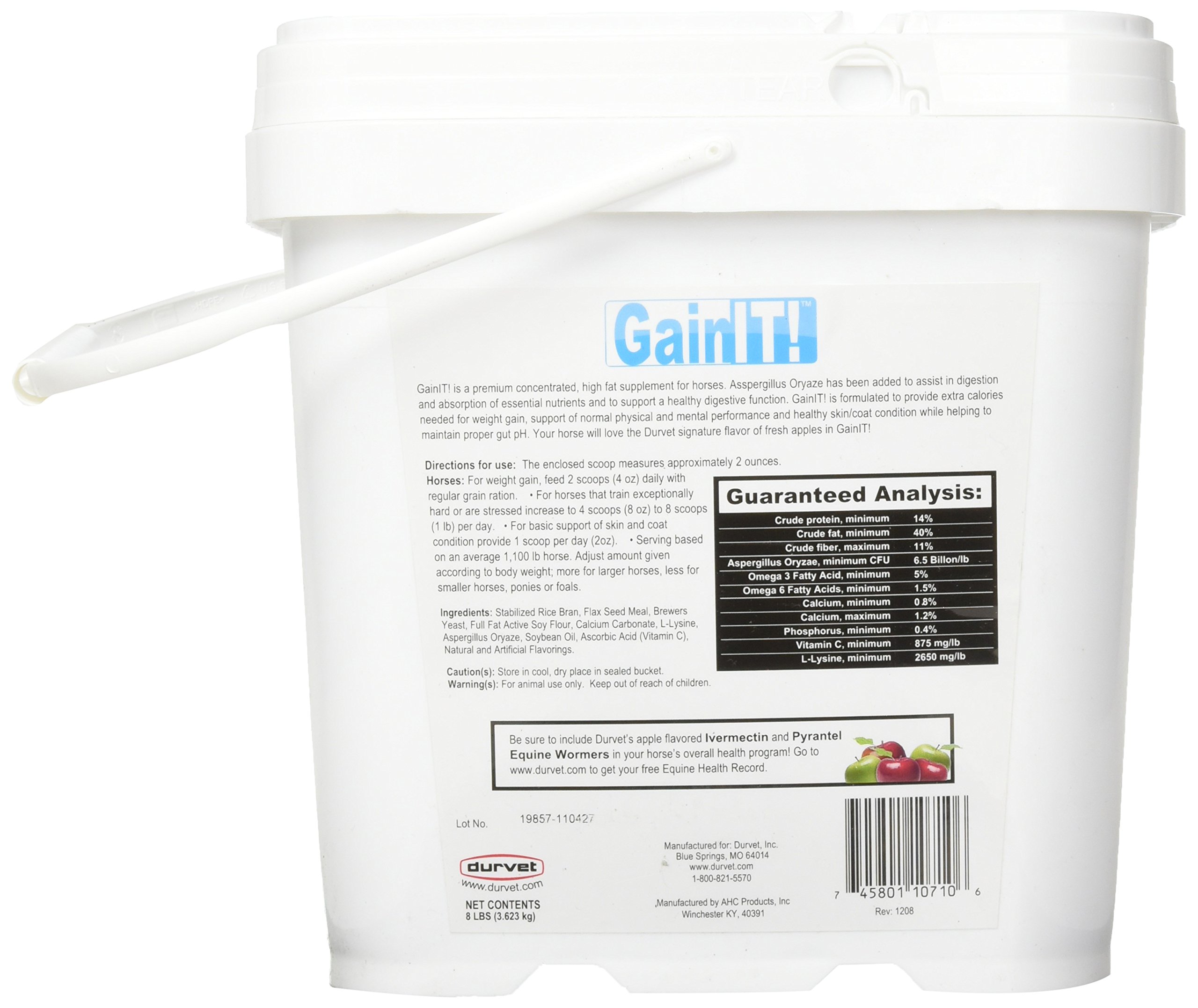 Durvet Gain It Fat Supplement Body and Digestive Care For Horses, 8 Pound Container
