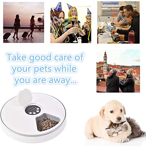ZZK Pet Bowl pet Supplies six Grid Dog/cat pet Feeder timed Reminder Voice Dry and Wet Food LCD programmable Automatic Dispenser,A