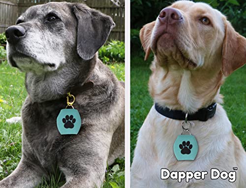 Dapper Dog Dog Tag Silencer with Gold and Silver Kwik Clips and Gold and Silver Tag Rings (Teal with Black Paw)
