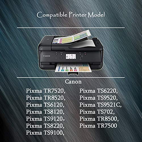 TG Imaging (2 Pack) Compatible PGI280XL Ink Cartridge Replacement for PGI280 XL BK Work for PIXMA TS6120 TR7520 TS8120 TR8520 TS9120 Ink Printer (2xBlack)