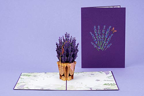Paper Love 3D Pop Up Card, Lavender Basket, For Mothers Day, Valentines Day, Birthday, All Occasions - 5" x 7" Cover - Includes Envelope and Note Tag