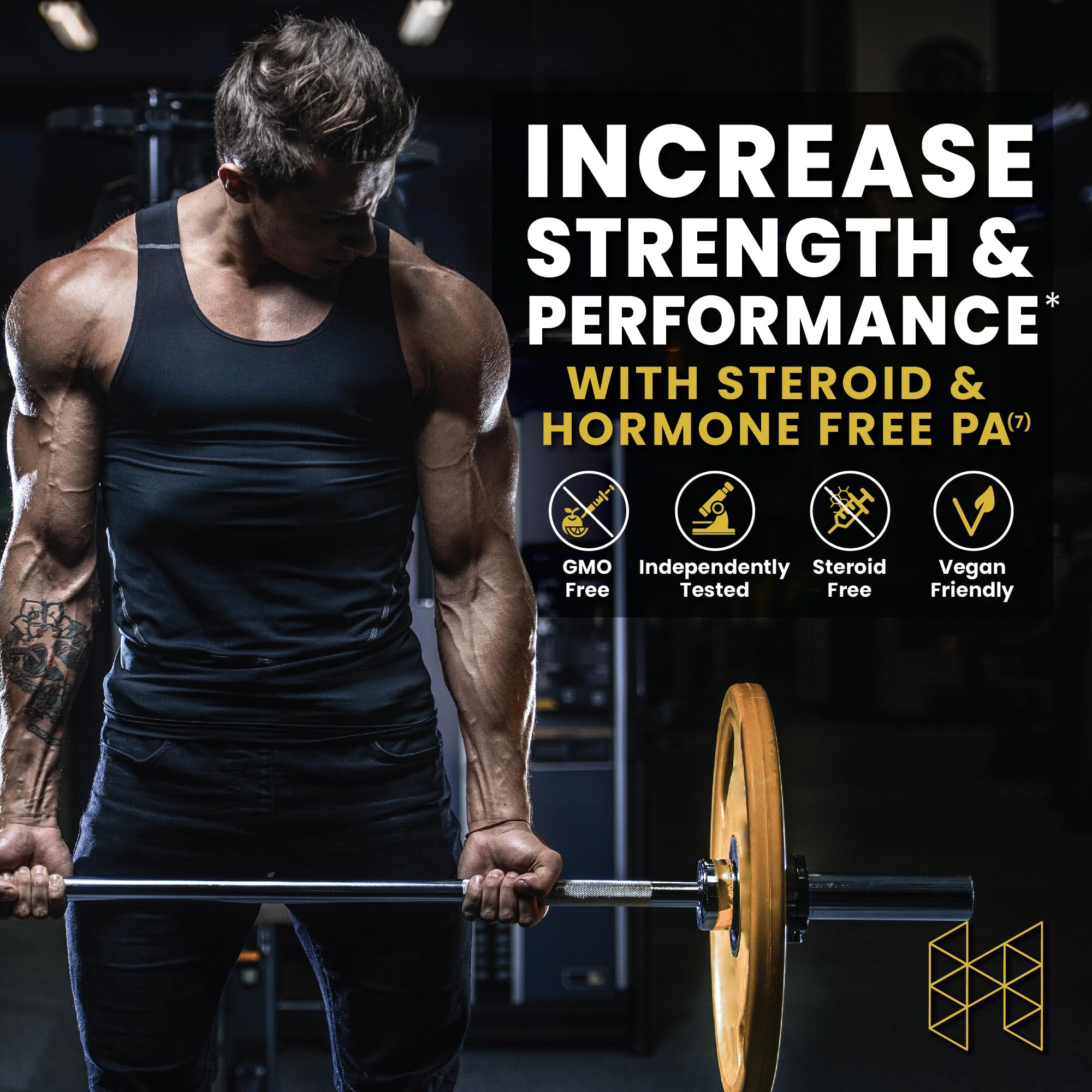 HPN PA(7) Phosphatidic Acid Muscle Builder Top Natural Muscle Builder - Boost mTOR | Build Mass and Strength from Your Workout | 30 Day Supply
