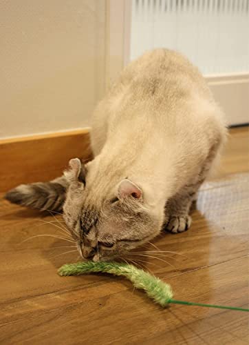 Catty Man Cat Play Grass, Jareneko Setaria 2 pcs. Set. Interactive Cat Teaser Wand Made in Japan